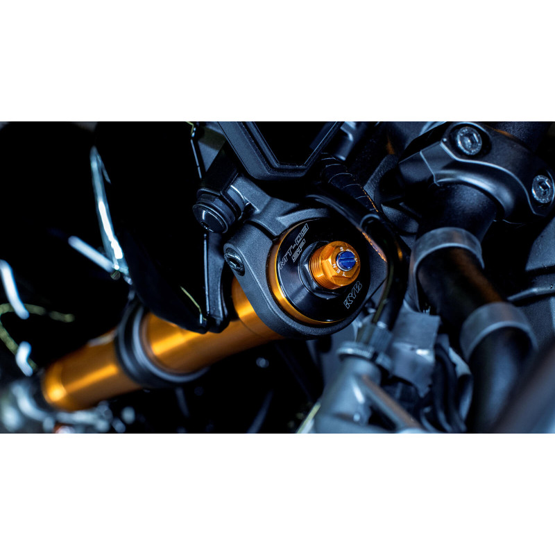 Yamaha MT-09SP model 2025